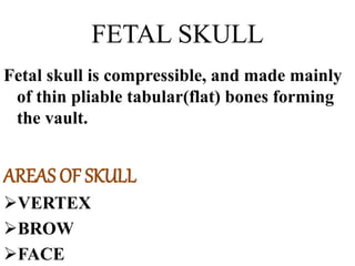 fetal skull.pptx