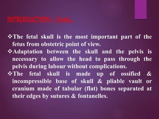 Fetal Skull obstetrics and gynecological | PPTX