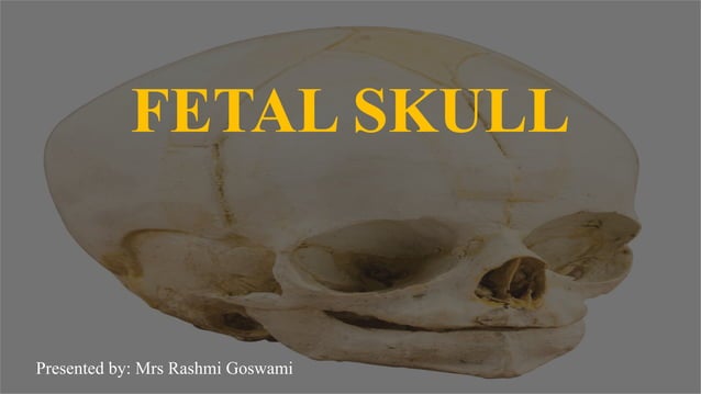 FETAL SKULL pptx by Rashmi Goswami (OBG) | PPTX | Pregnancy ...