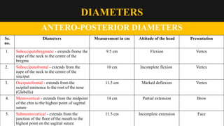 FETAL SKULL pptx by Rashmi Goswami (OBG) | PPTX