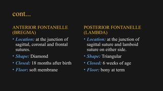 FETAL SKULL pptx by Rashmi Goswami (OBG) | PPTX