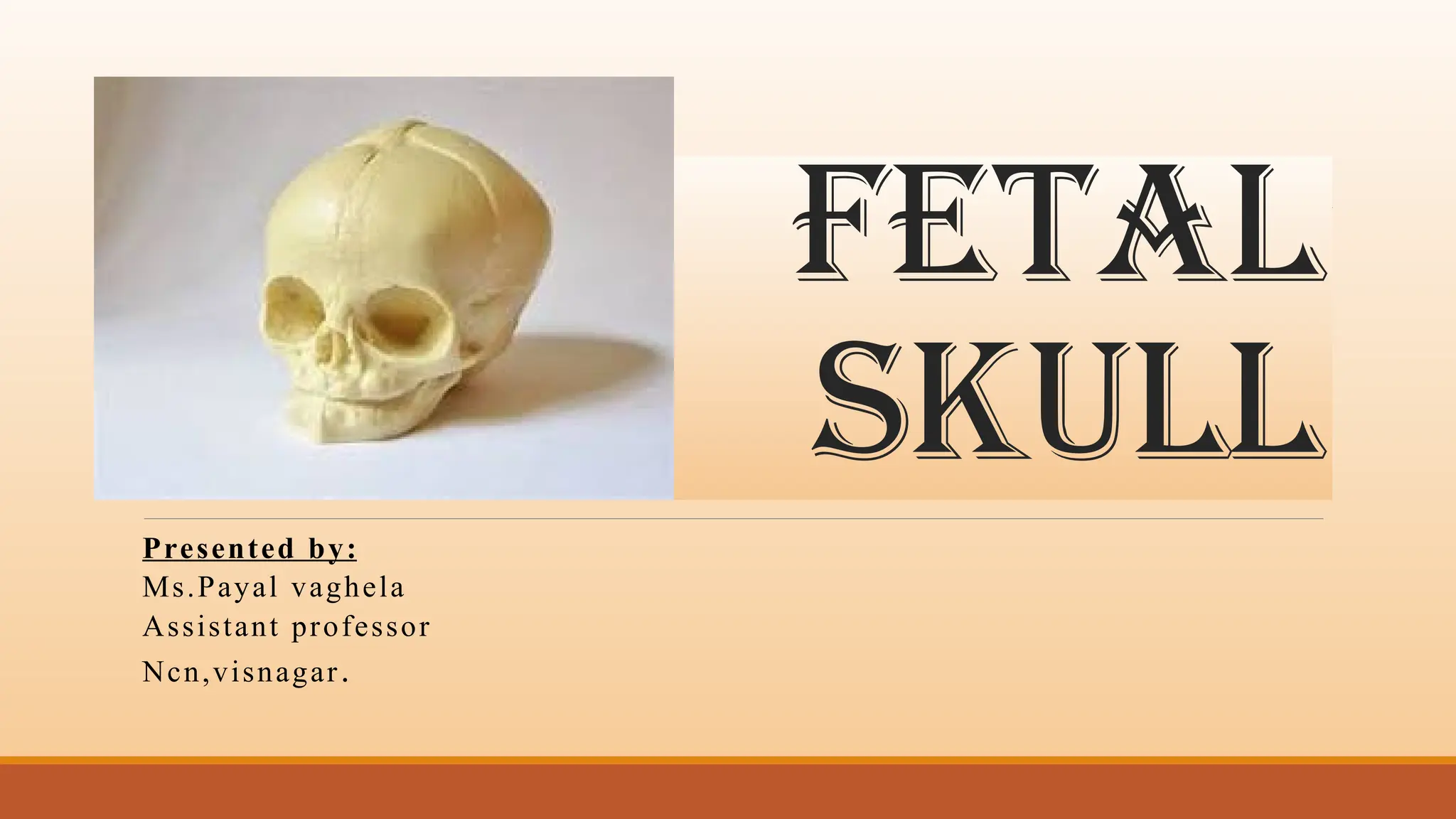 P.Fetal skull. Introduction,Region and landmark of fetal skull,bone in ...