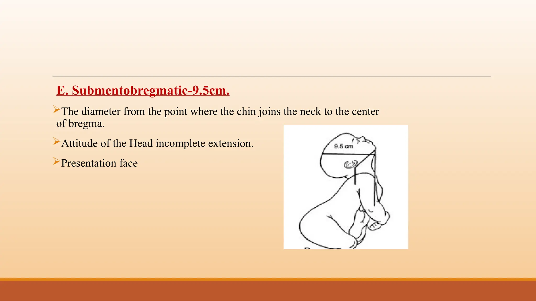 P.Fetal skull. Introduction,Region and landmark of fetal skull,bone in ...