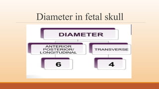 P.Fetal skull. Introduction,Region and landmark of fetal skull,bone in ...