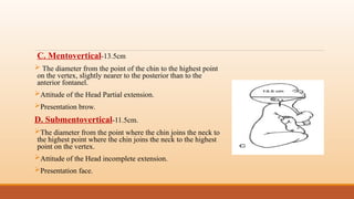 P.Fetal skull. Introduction,Region and landmark of fetal skull,bone in ...