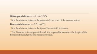 P.Fetal skull. Introduction,Region and landmark of fetal skull,bone in ...