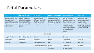 Fetal Skull and other fetal parameters.pptx