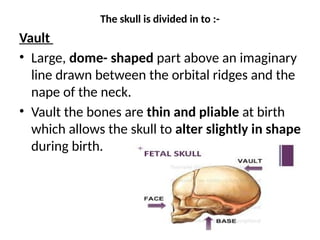FETAL SKULL INCLUDING BONES AND DIAMETERS | PPTX