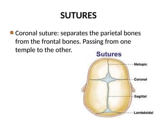 FETAL SKULL INCLUDING BONES AND DIAMETERS | PPTX