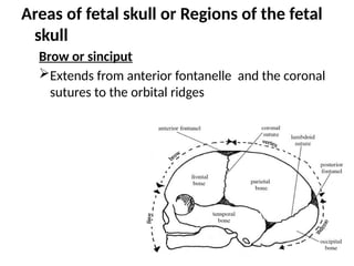 FETAL SKULL INCLUDING BONES AND DIAMETERS | PPTX