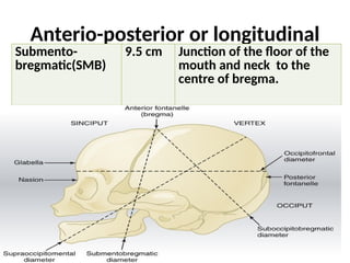 FETAL SKULL INCLUDING BONES AND DIAMETERS | PPTX