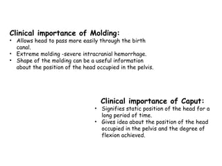 Fetal skull and it's diameters in obstetrics | PPTX