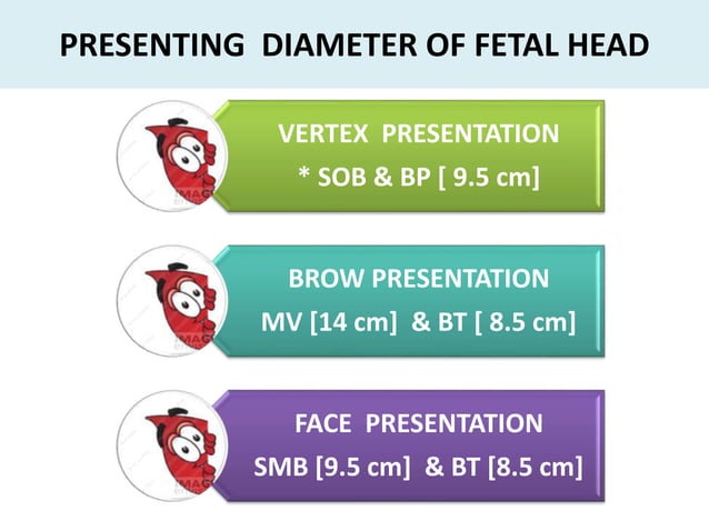 Microteaching on Fetal skull | PPT