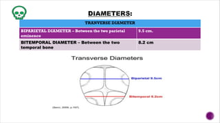 FETAL SKULL -LANDMARK,REGIONS,BONE,SUTURE,DIAMETER- OBG.pdf