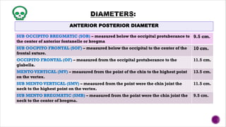FETAL SKULL -LANDMARK,REGIONS,BONE,SUTURE,DIAMETER- OBG.pdf