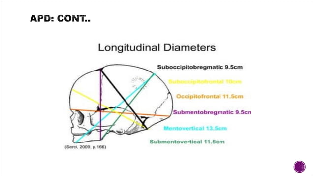 FETAL SKULL -LANDMARK,REGIONS,BONE,SUTURE,DIAMETER- OBG.pdf | Pregnancy ...