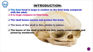 FETAL SKULL -LANDMARK,REGIONS,BONE,SUTURE,DIAMETER- OBG.pdf