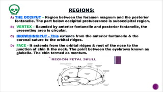 FETAL SKULL -LANDMARK,REGIONS,BONE,SUTURE,DIAMETER- OBG.pdf
