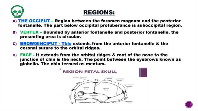 FETAL SKULL -LANDMARK,REGIONS,BONE,SUTURE,DIAMETER- OBG.pdf | Pregnancy ...