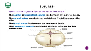 FETAL SKULL -LANDMARK,REGIONS,BONE,SUTURE,DIAMETER- OBG.pdf