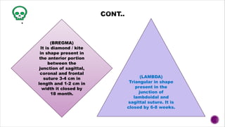 FETAL SKULL -LANDMARK,REGIONS,BONE,SUTURE,DIAMETER- OBG.pdf