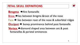 Fetal skull warda | PDF