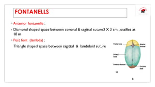 Fetal skull warda | PDF