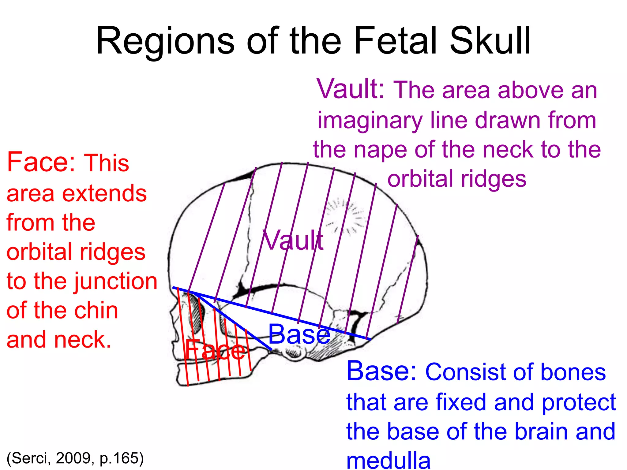 Fetal skull | PPT