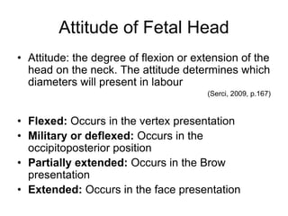 Fetal skull | PPT