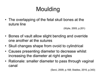 Fetal skull | PPT