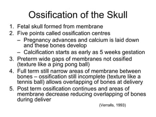 Fetal skull | PPT