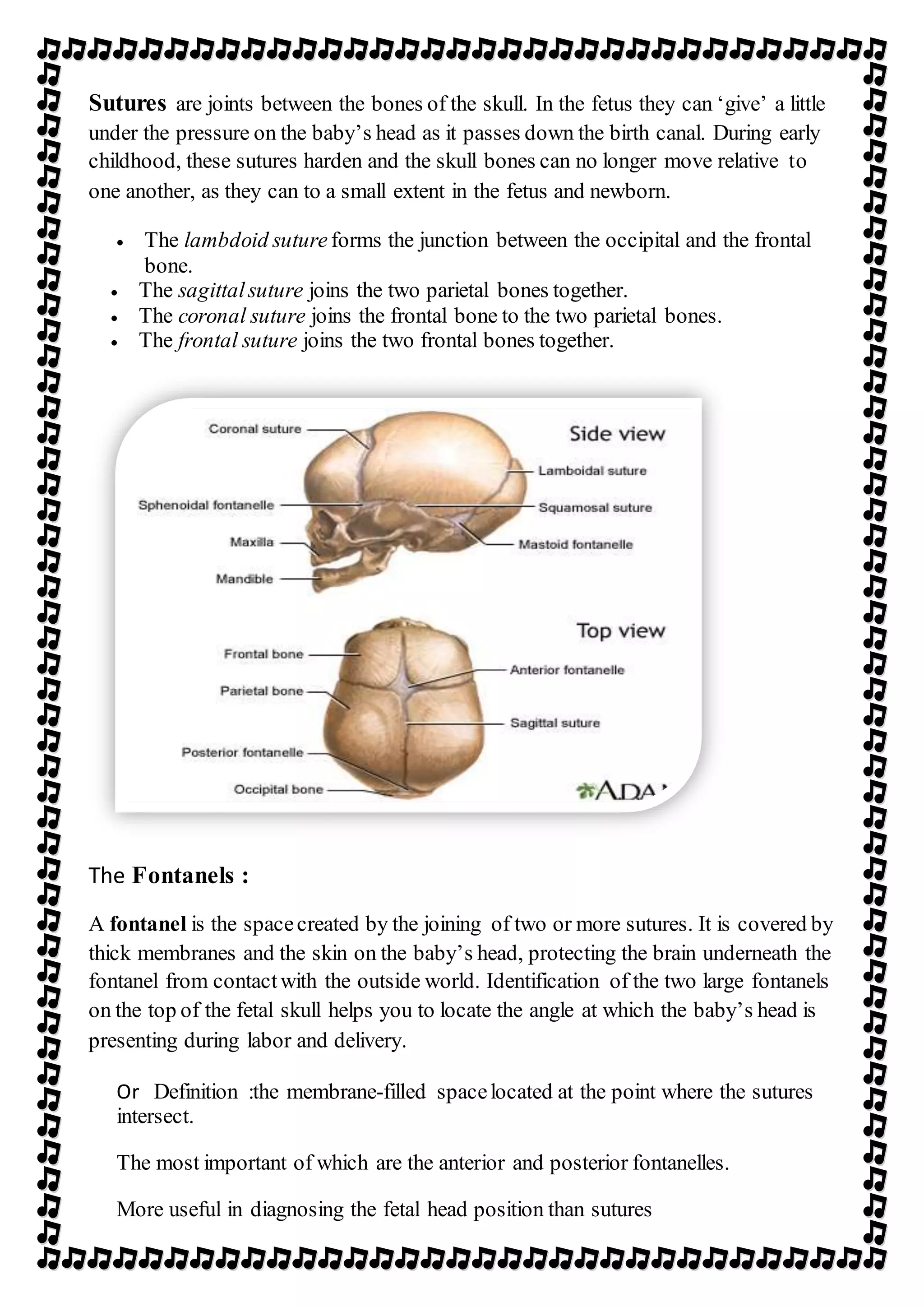 Fetal skull | DOCX