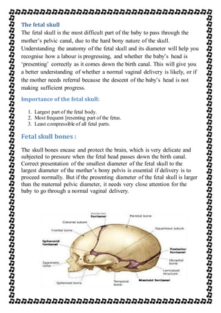 Fetal skull | DOCX