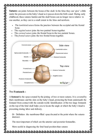 Fetal skull | DOCX