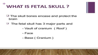 FETAL SKULL ANATOMY.pptx