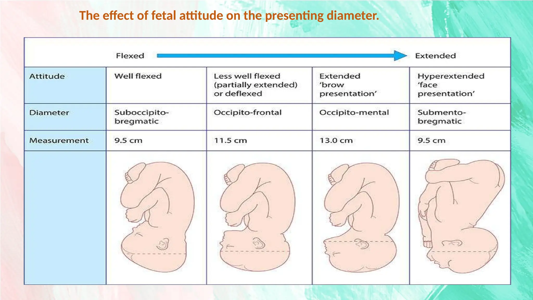 Circumstances of Fetal skull anatomy.pptx