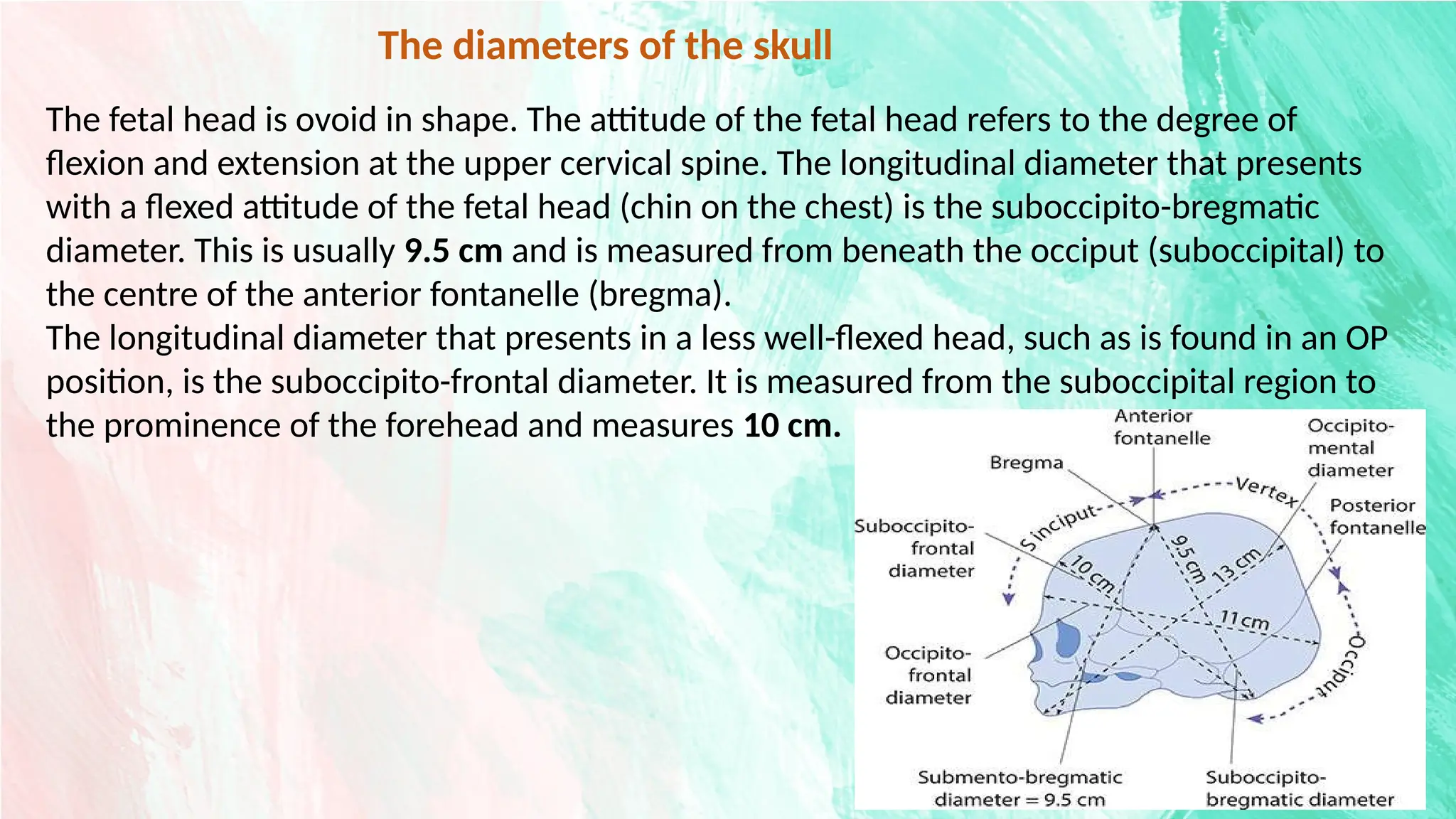Circumstances of Fetal skull anatomy.pptx