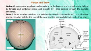 Circumstances of Fetal skull anatomy.pptx