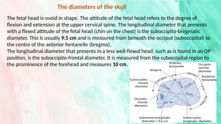 Circumstances of Fetal skull anatomy.pptx