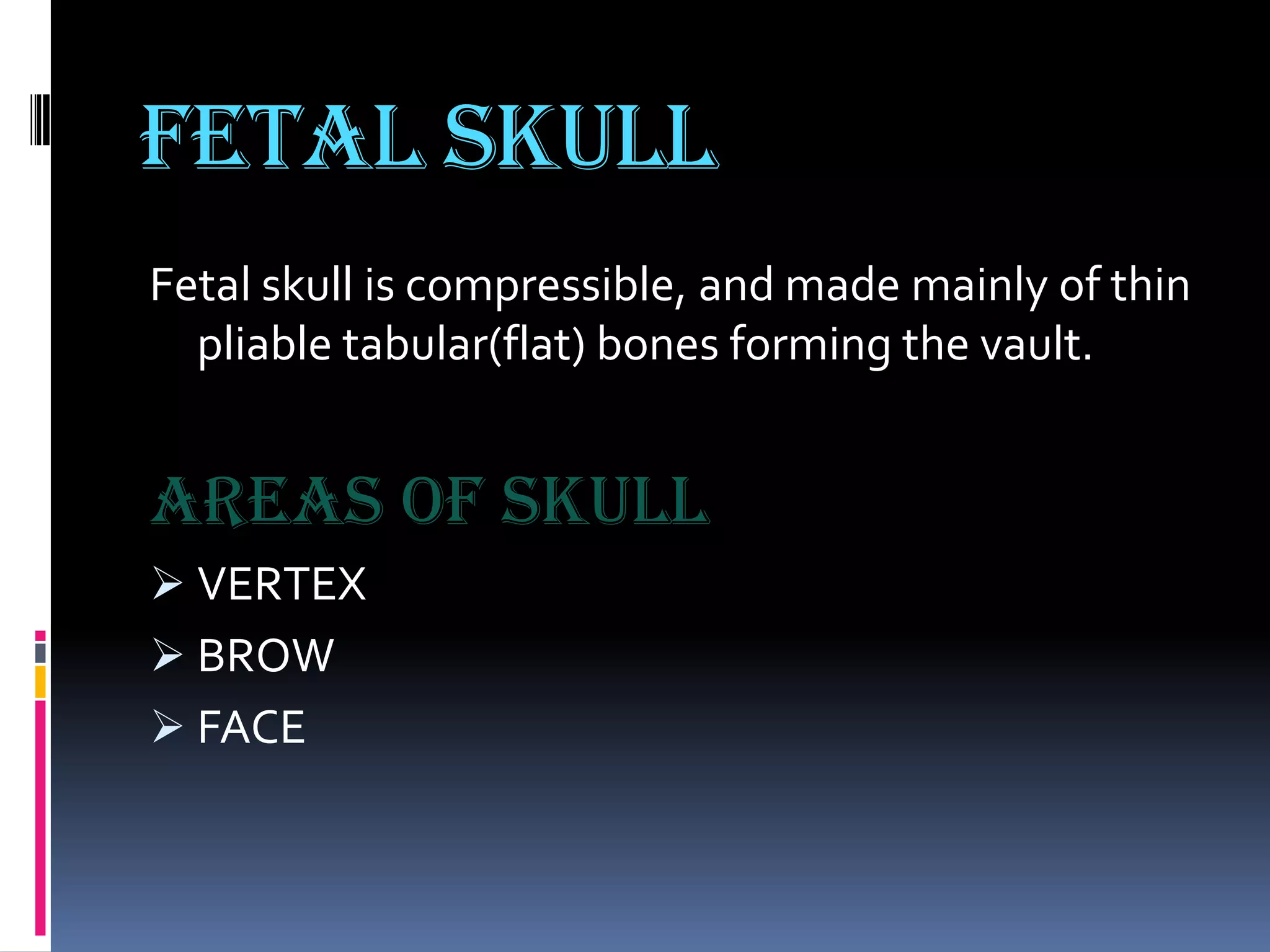 Fetal skull and fetal circulation | PPTX