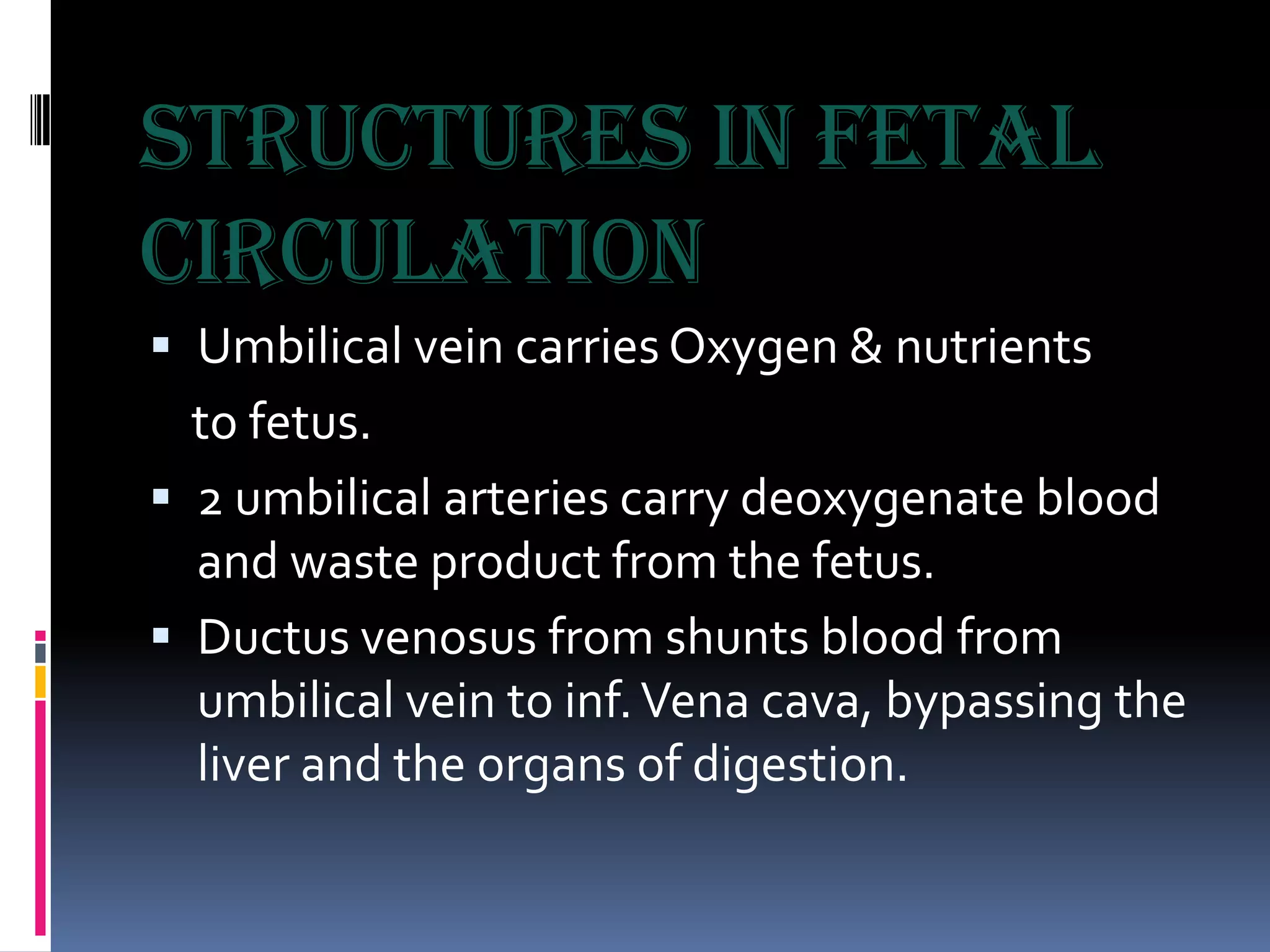 Fetal skull and fetal circulation | PPTX