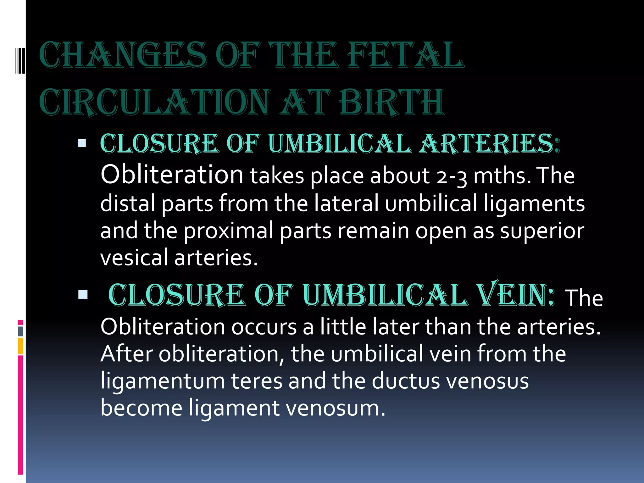 Fetal skull and fetal circulation | PPTX