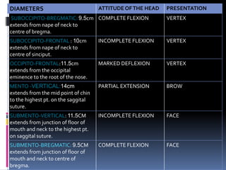Fetal skull and fetal circulation | PPTX