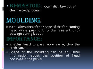 Fetal skull and fetal circulation | PPTX