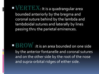 Fetal skull and fetal circulation | PPTX