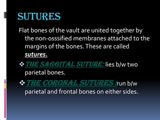 Fetal skull and fetal circulation | PPTX