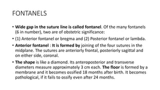 Fetal skull and maternal pelvis | PPTX