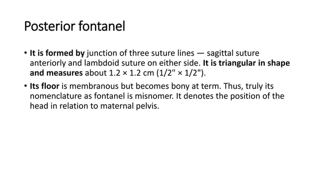 Fetal skull and maternal pelvis | PPTX
