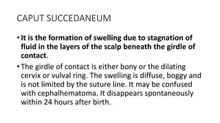 Fetal skull and maternal pelvis | PPTX