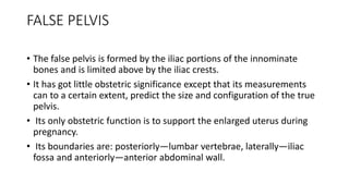 Fetal skull and maternal pelvis | PPTX